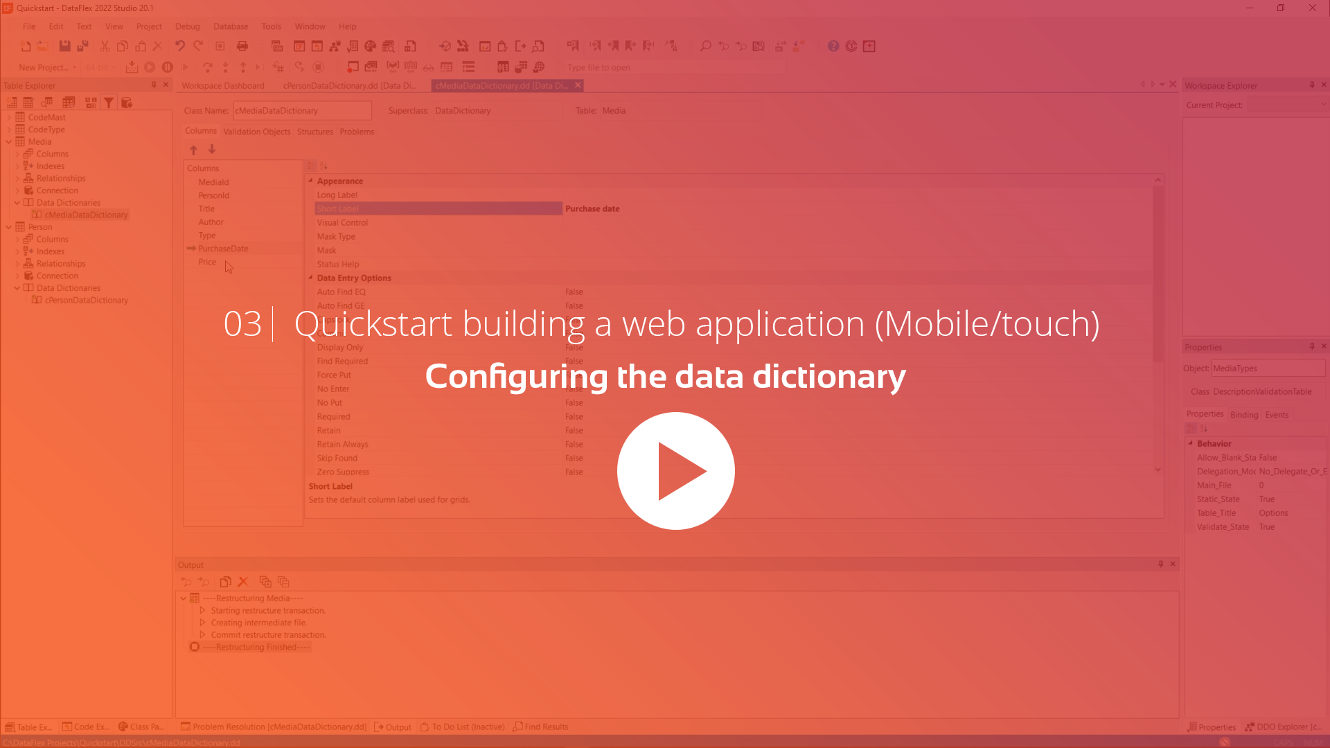 DFLC Lesson - Configuring the data dictionary