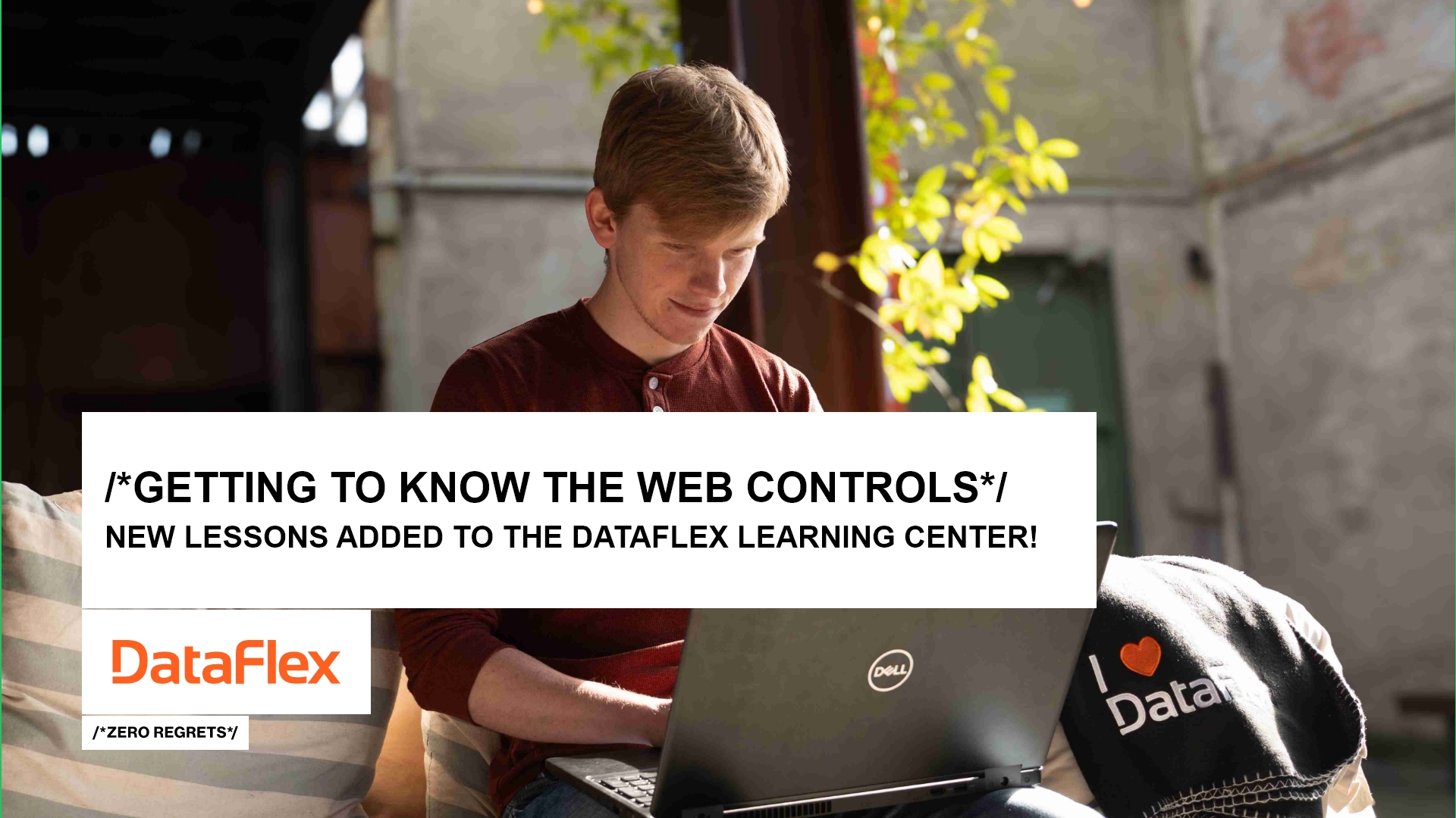 DataFlex Learning Center